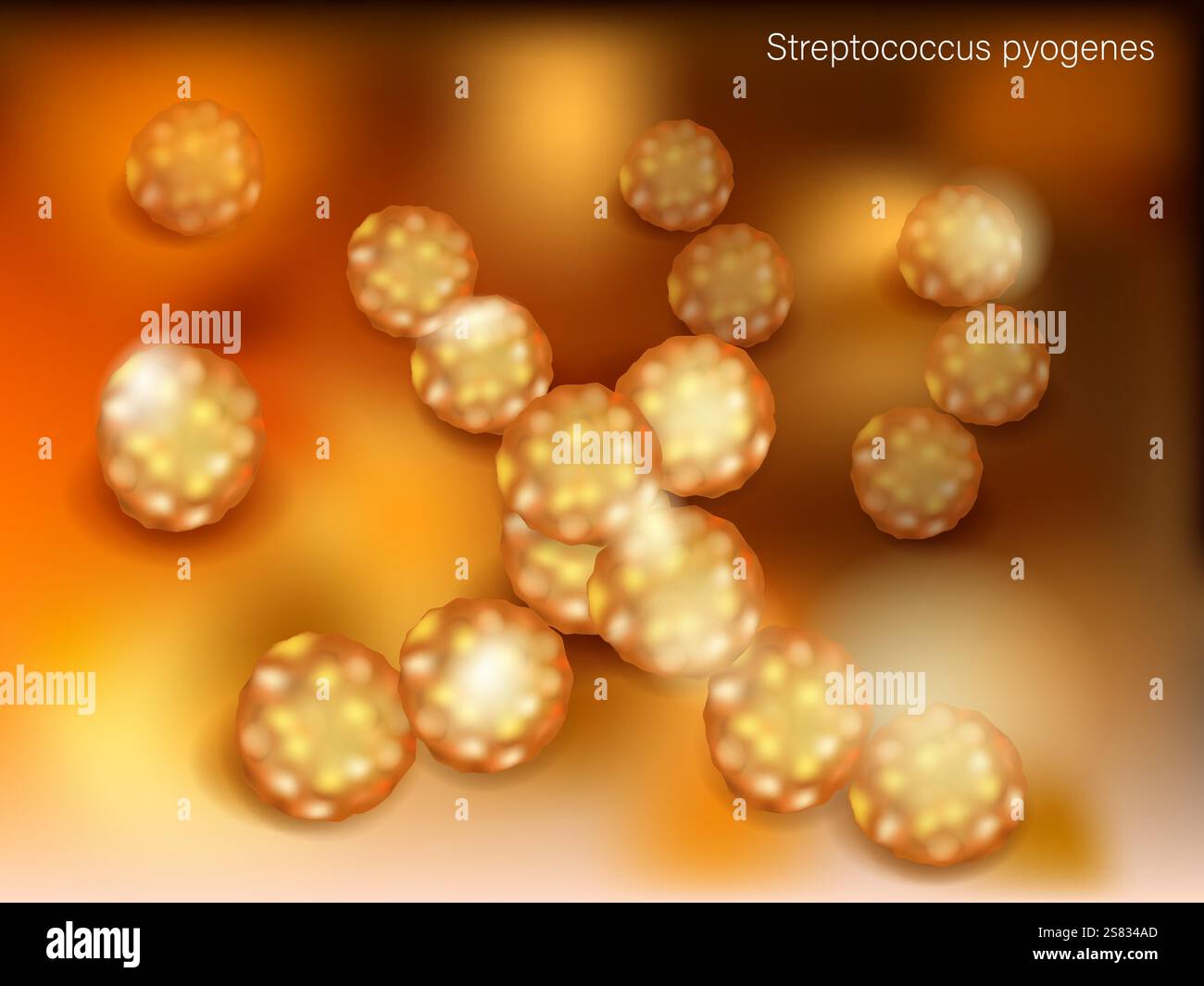 Pathogen Streptococcus Pyogenes Under Microscopic View. Detailed ...