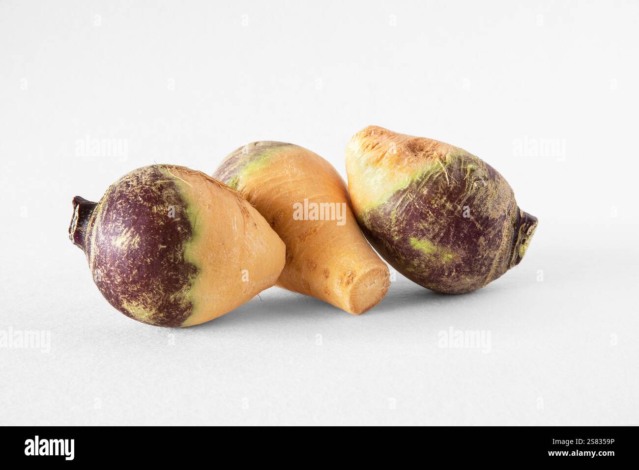 Close-up of purple and yellow rutabagas on a transparent background in ...