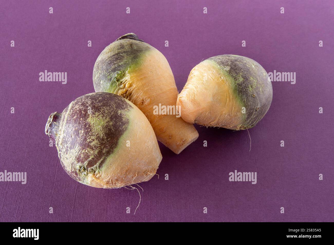 Close-up of purple and yellow rutabagas on a transparent background in ...
