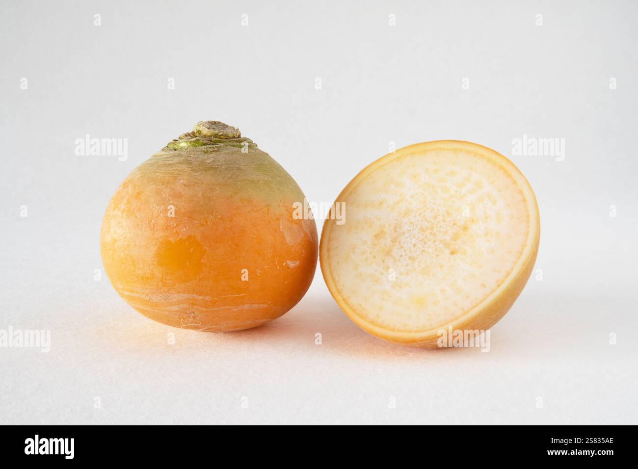 Orange turnip close-up on white background Stock Photo - Alamy