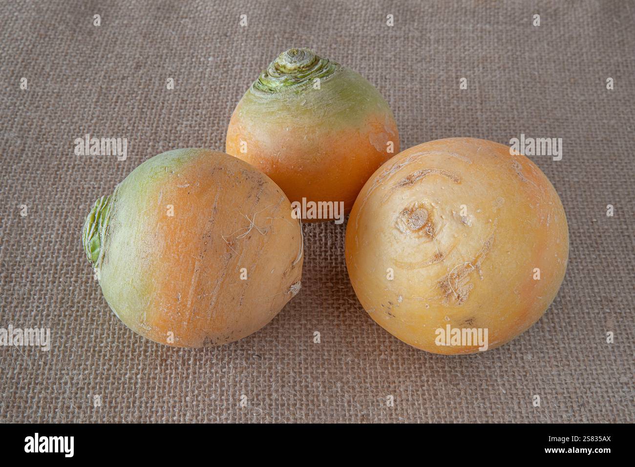 Orange turnip close-up on white background Stock Photo - Alamy