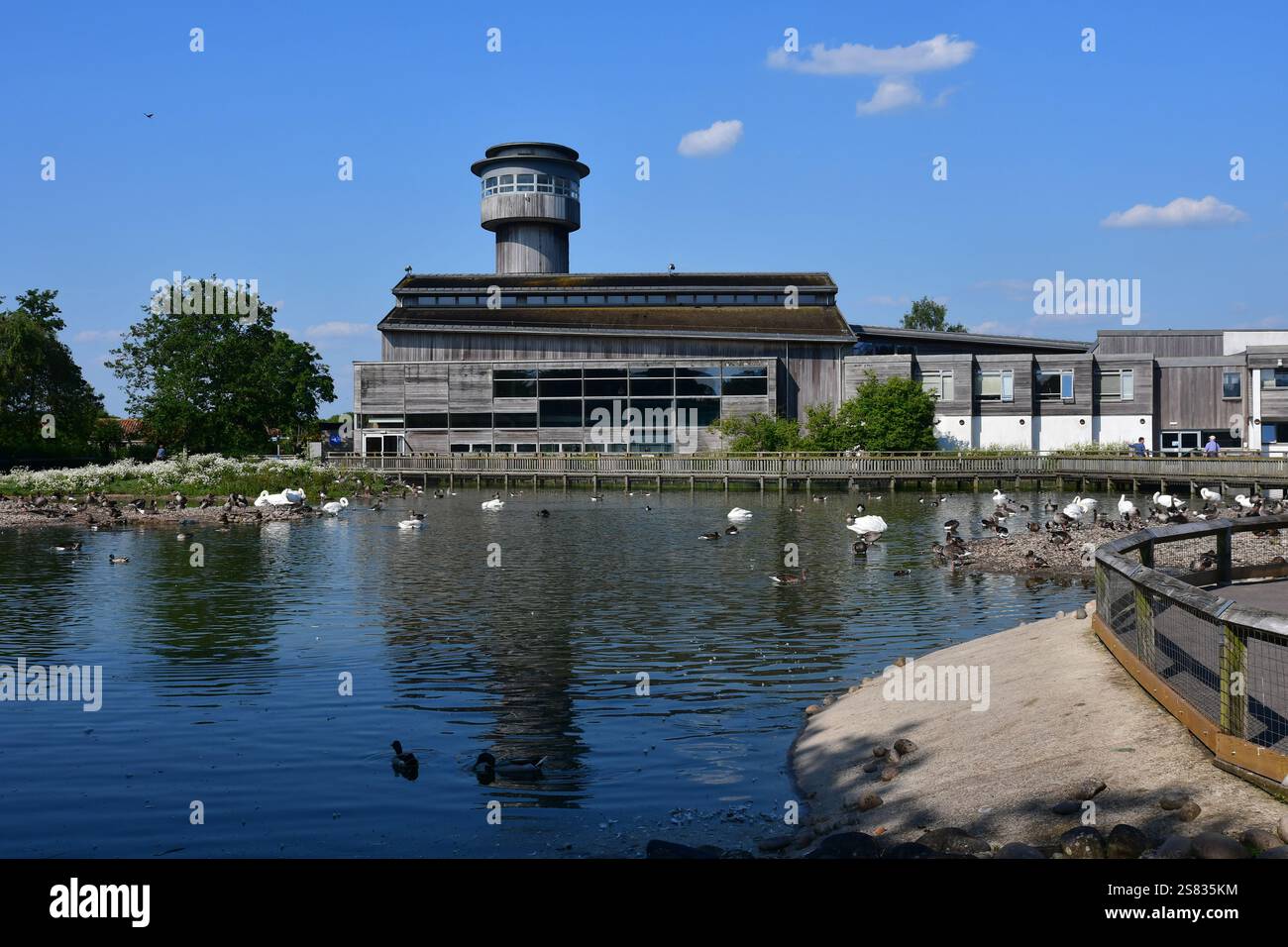 WWT Slimbridge Wetland Centre, Gloucestershire, England, UK. Cotswolds ...