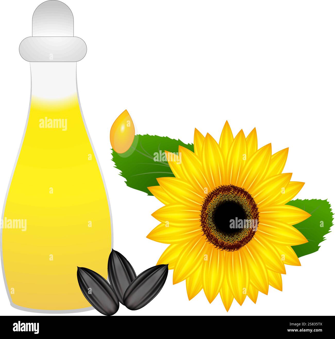 Macro flower seeds Stock Vector Images - Alamy