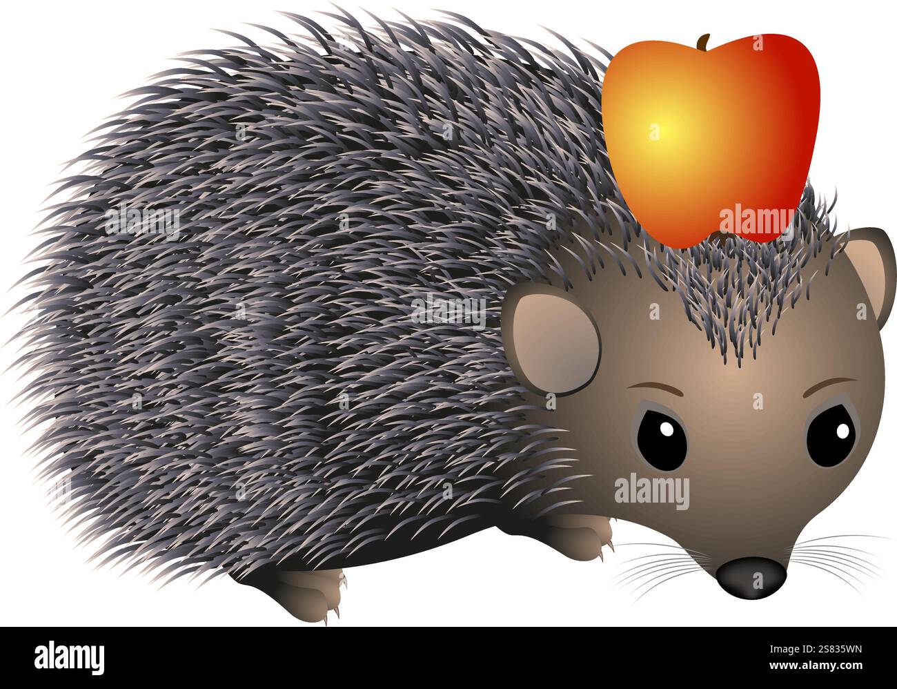 Hedgehog with apple Stock Vector Image & Art - Alamy