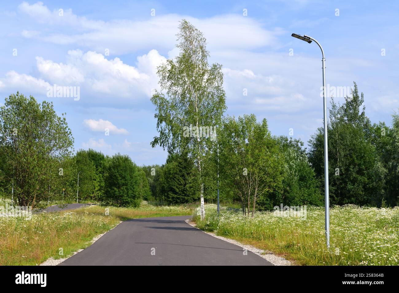 Asphalt and equipped with a lanterns running track in nature Stock ...