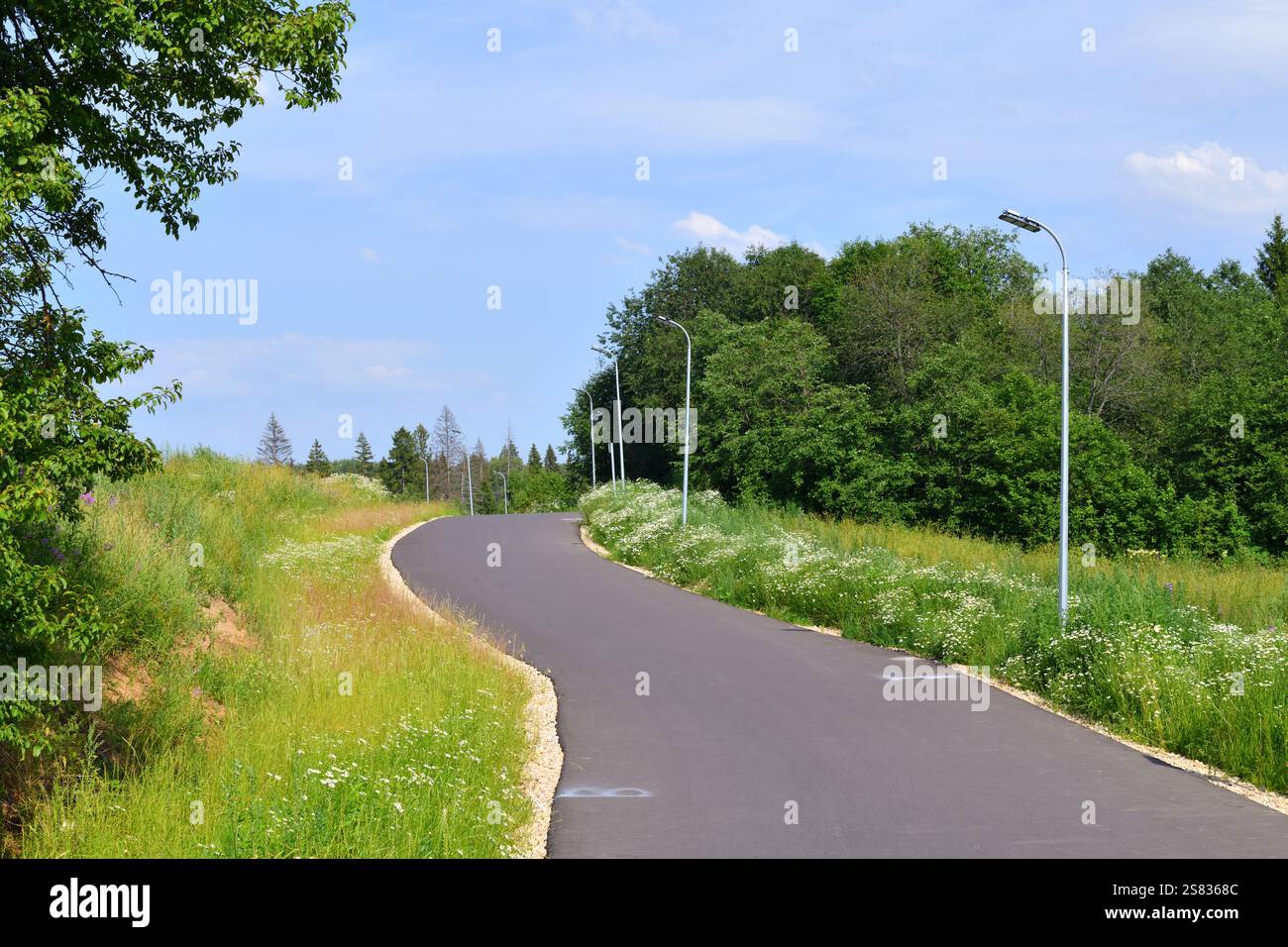 Asphalt and equipped with a lanterns running track in nature Stock ...