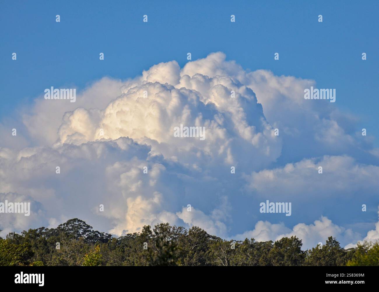 High and deep clouds forming into a storm front, with tree tops in the ...