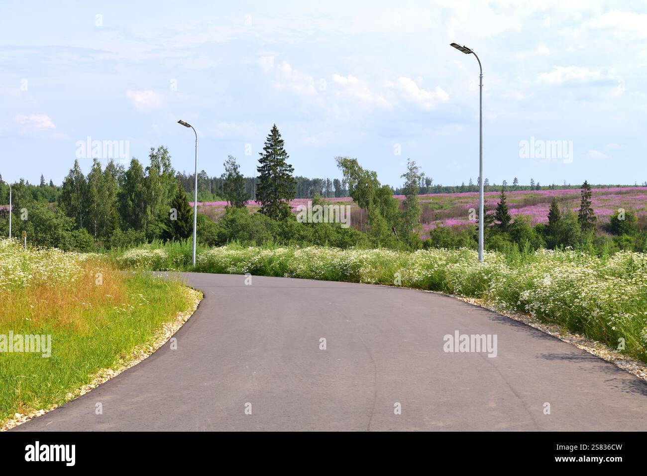 Asphalt and equipped with a lanterns running track in nature Stock ...