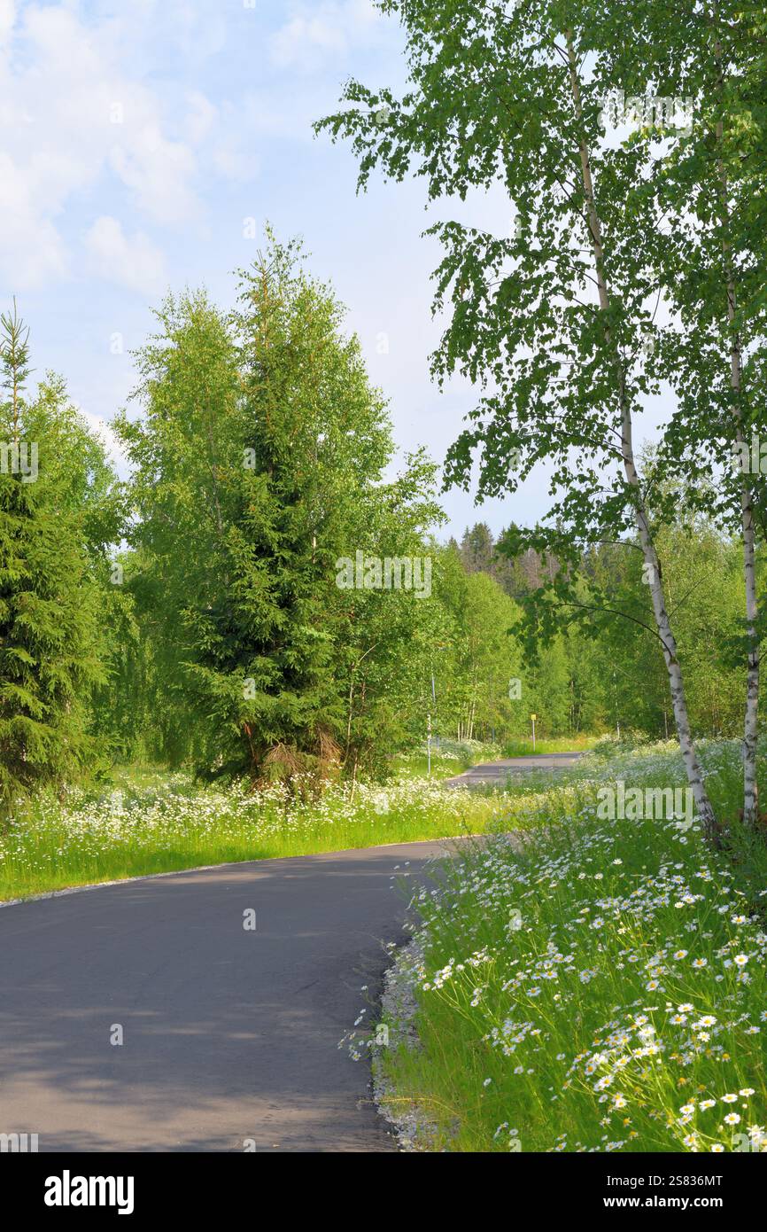 Asphalt running track in nature Stock Photo - Alamy