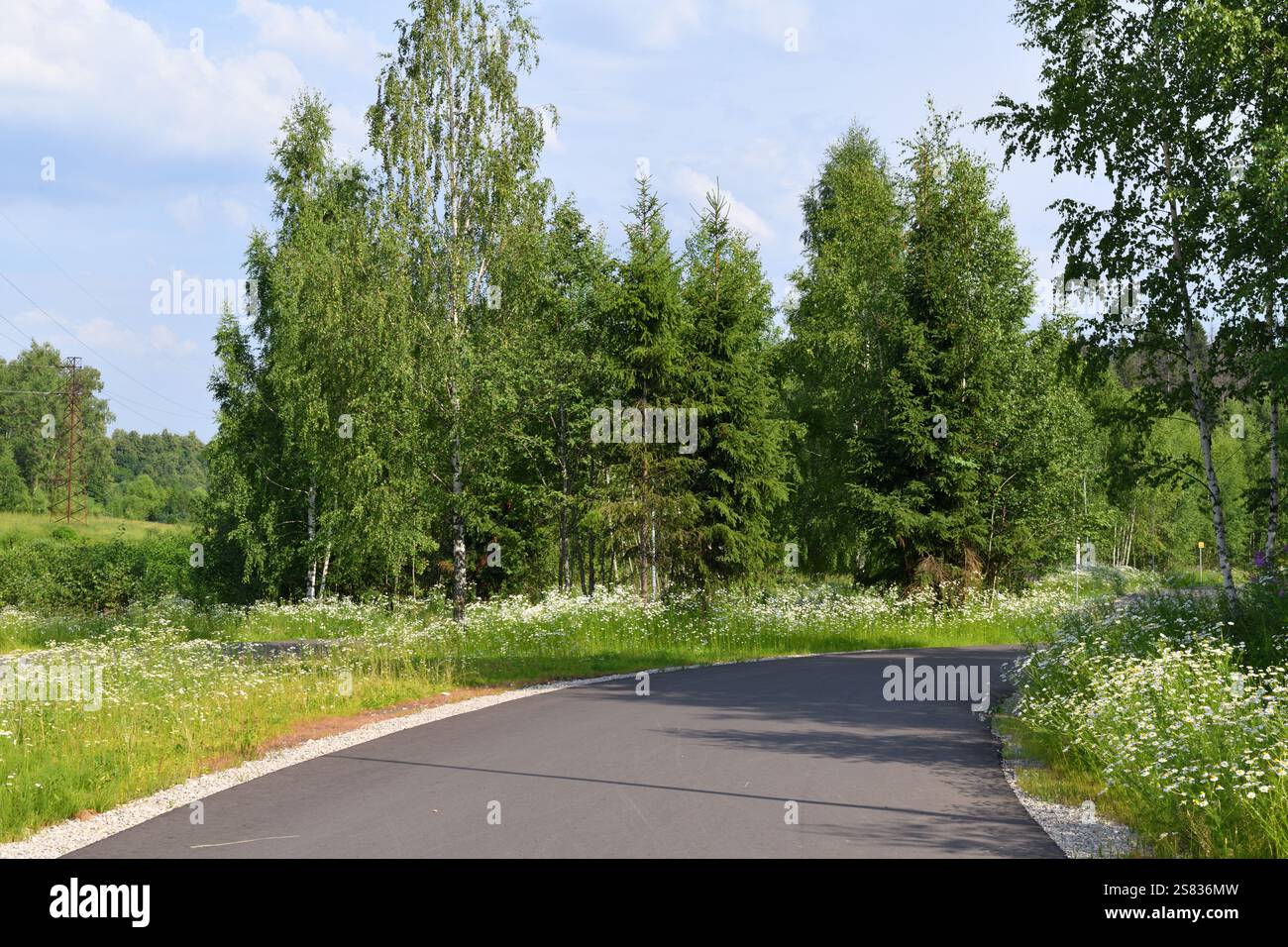 Asphalt running track in nature Stock Photo - Alamy