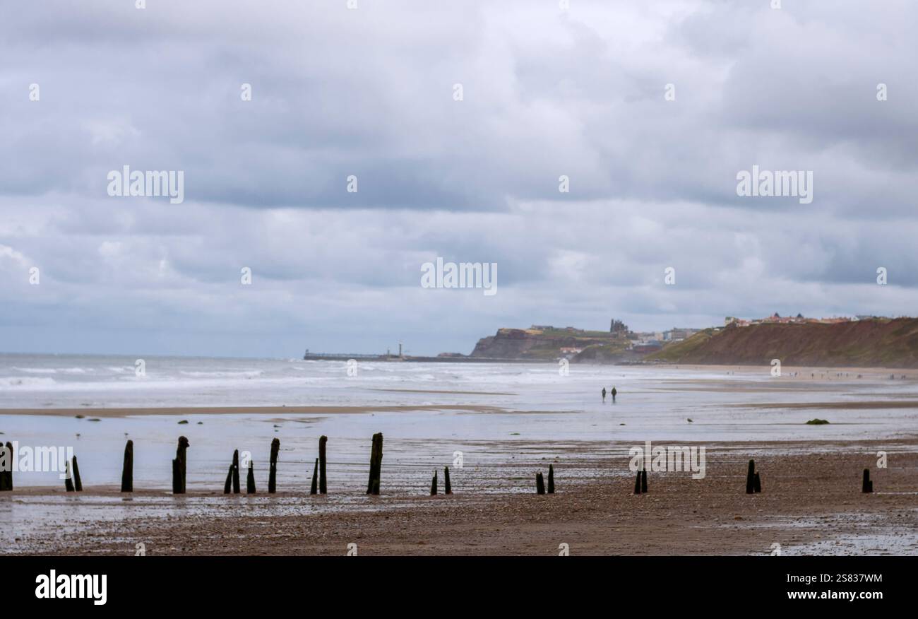 Taking the dog for a walk on Whitby beach. Reflctions of the dog ...