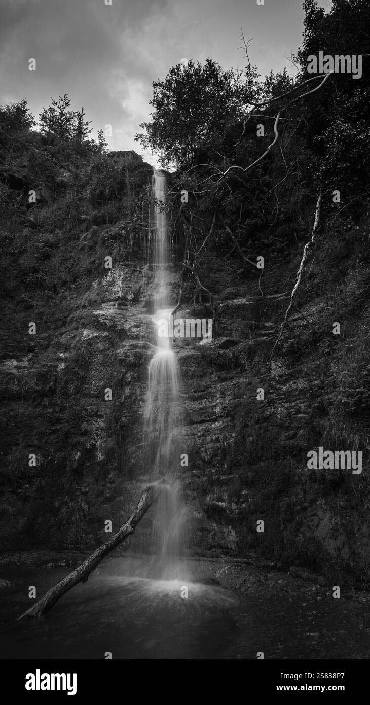 Trickle in forest Black and White Stock Photos & Images - Alamy