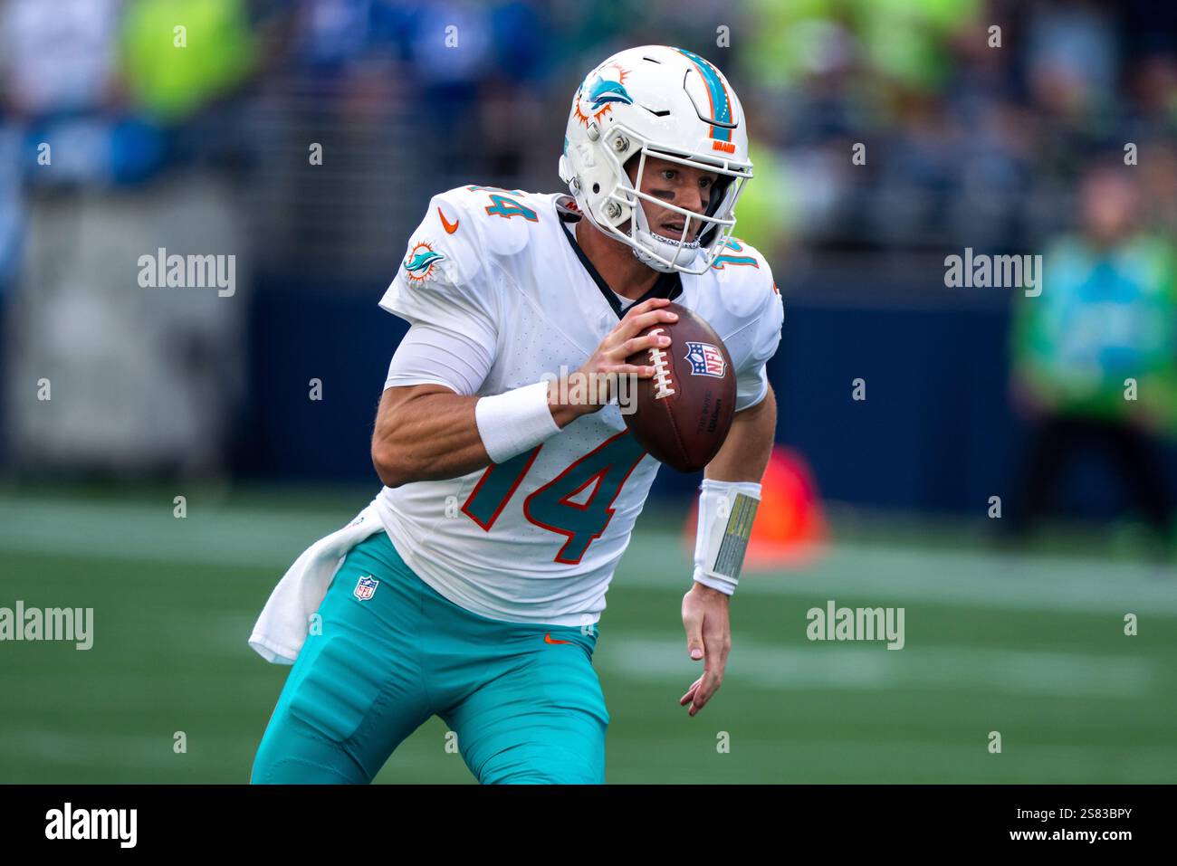 Miami Dolphins quarterback Tim Boyle scramble during an NFL football ...