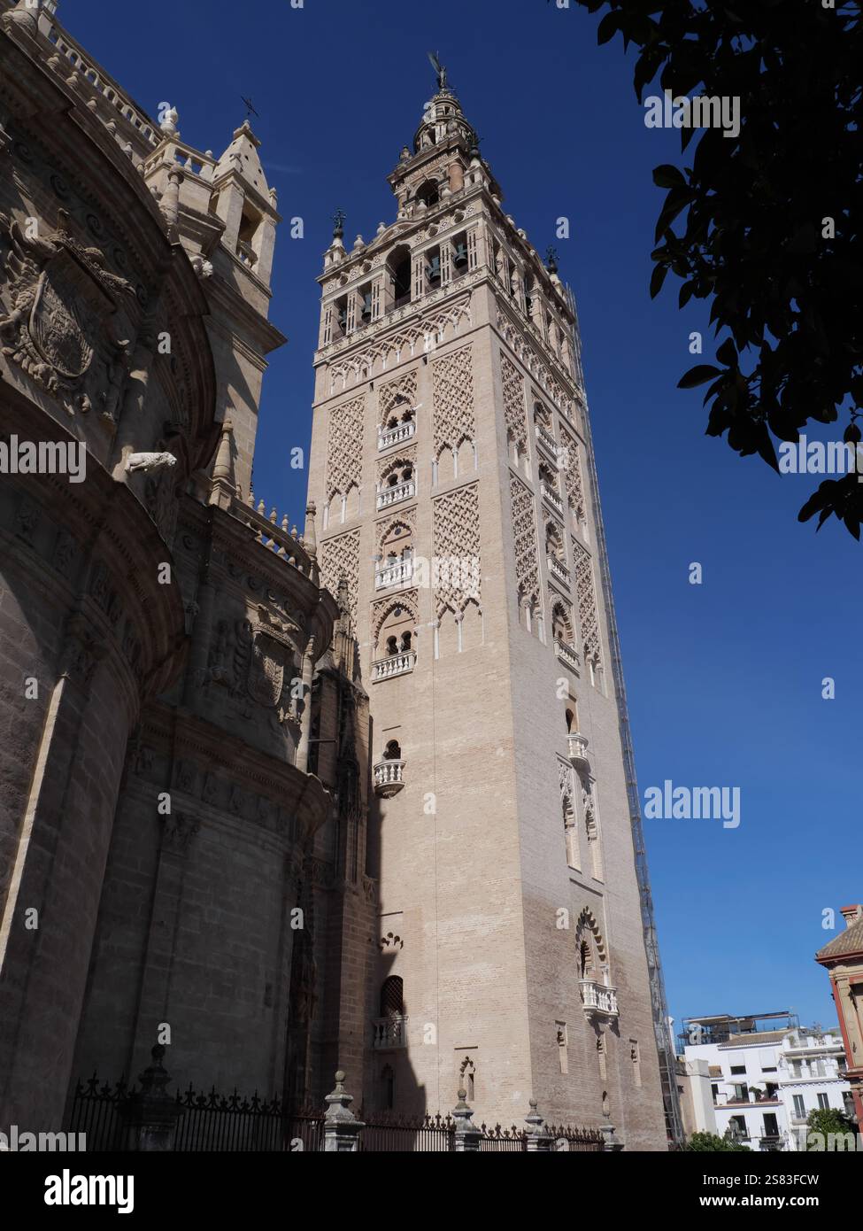 The Moorish bell tower La Giralda next to the Cathedral of Maria de la ...