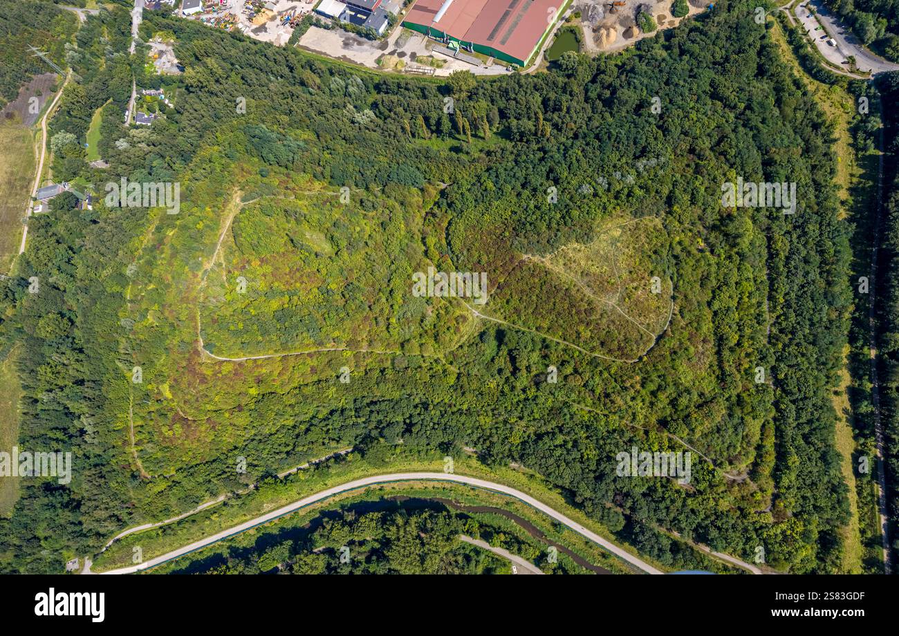 Aerial view, Heringstraße slag heap forest area, Brauck, Gladbeck, Ruhr ...