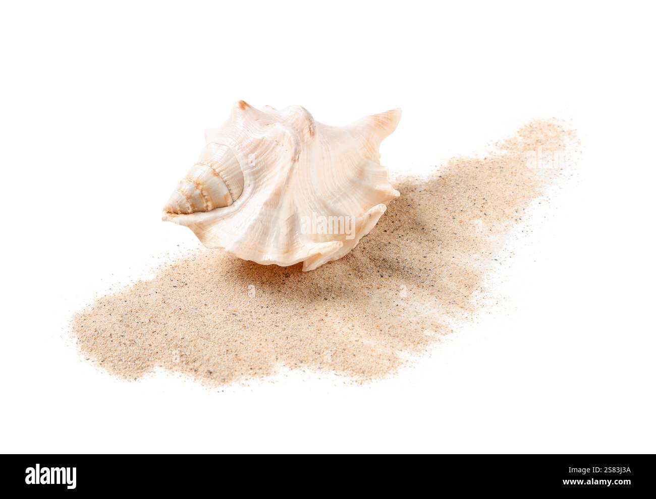 Beautiful seashell and sand isolated on white background Stock Photo ...