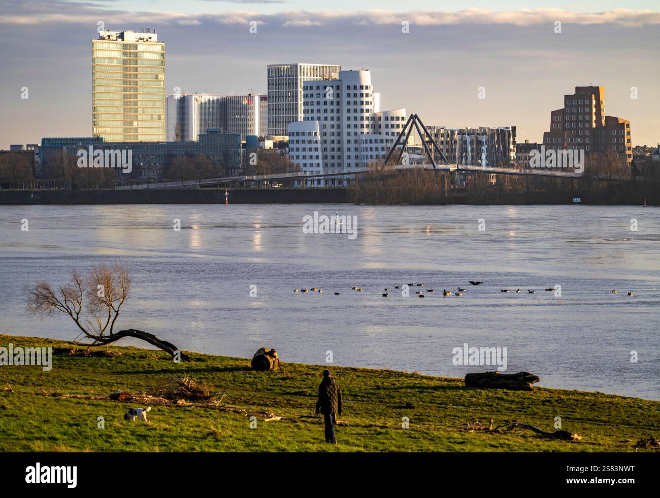 Buildings in Düsseldorf's Medienhafen, with the Stadttor building on ...