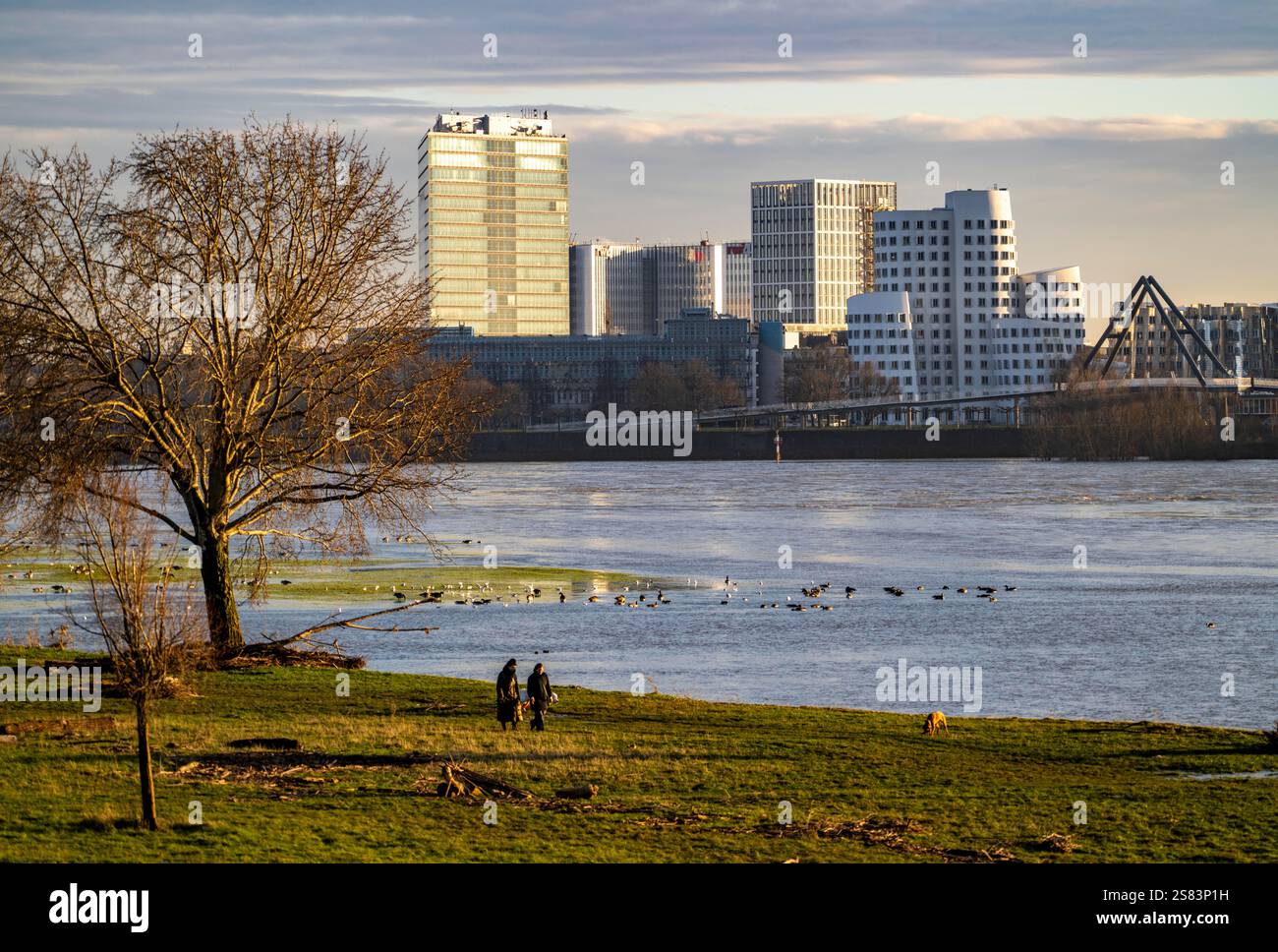 Buildings in Düsseldorf's Medienhafen, with the Stadttor building on ...