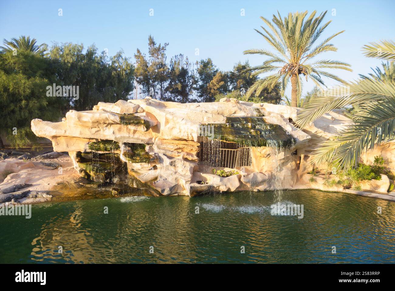 Naturalistic aesthetic hi-res stock photography and images - Alamy