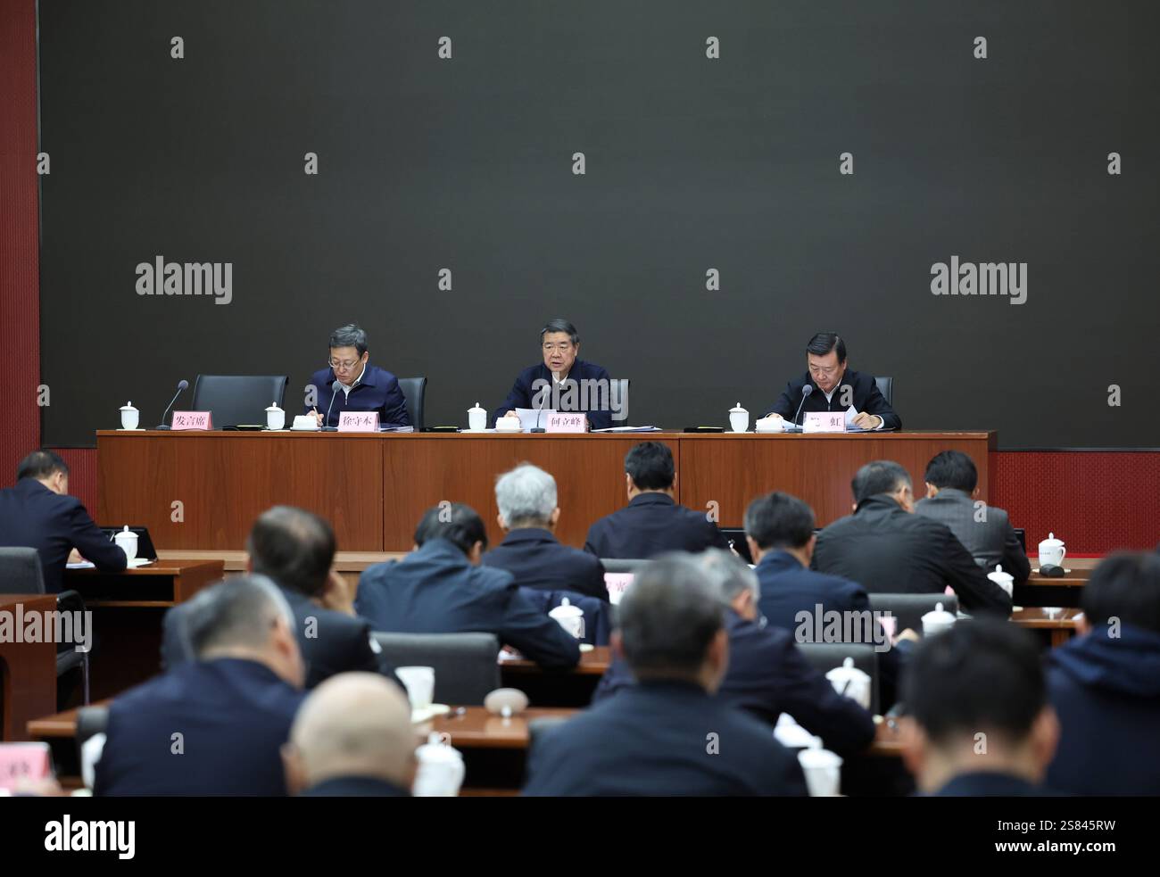Beijing, China. 20th Jan, 2025. Chinese Vice Premier He Lifeng, also a ...