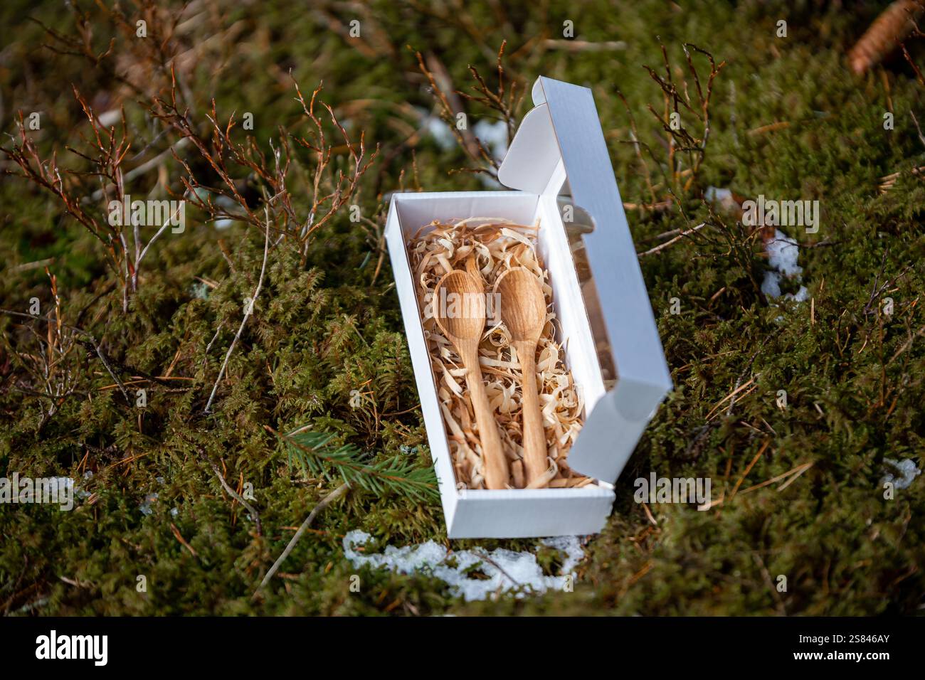 A white box with two wooden spoons rests on mossy ground, surrounded by ...