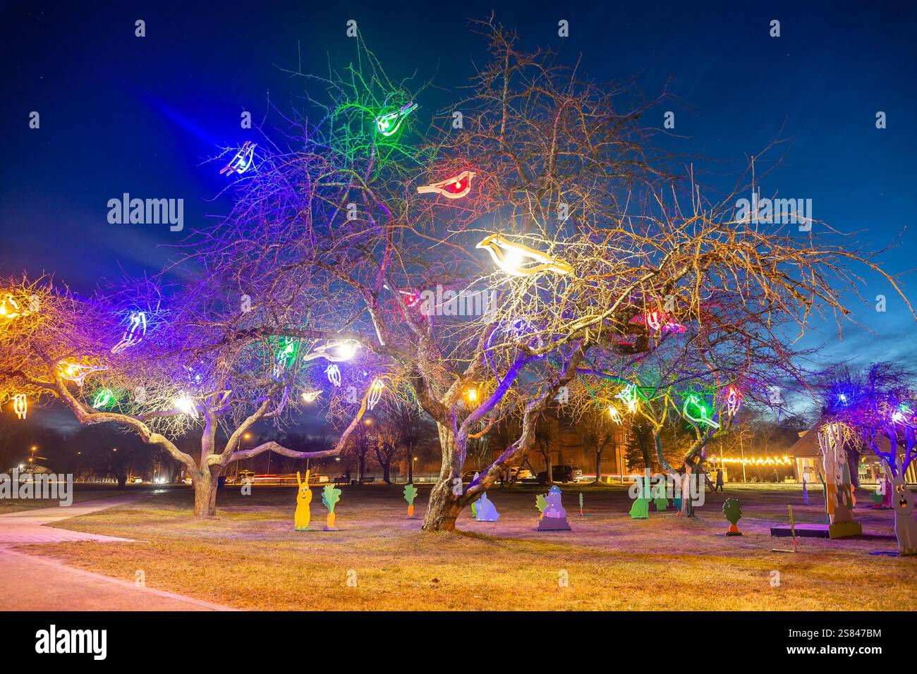 A leafless tree displays vibrant neon bird shaped lights against a ...