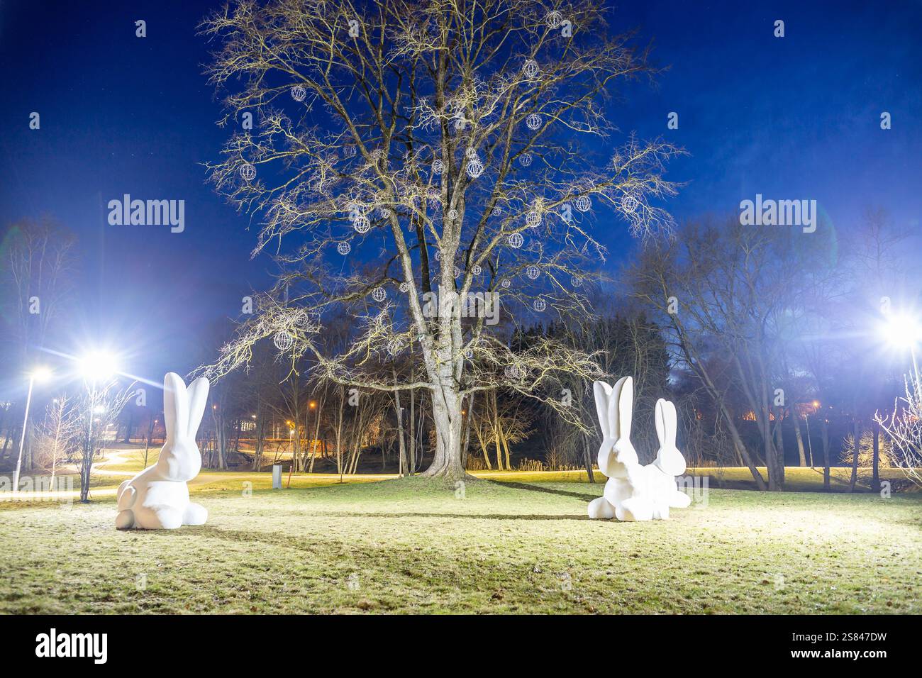 A large leafless tree with glowing spherical ornaments stands in a park ...