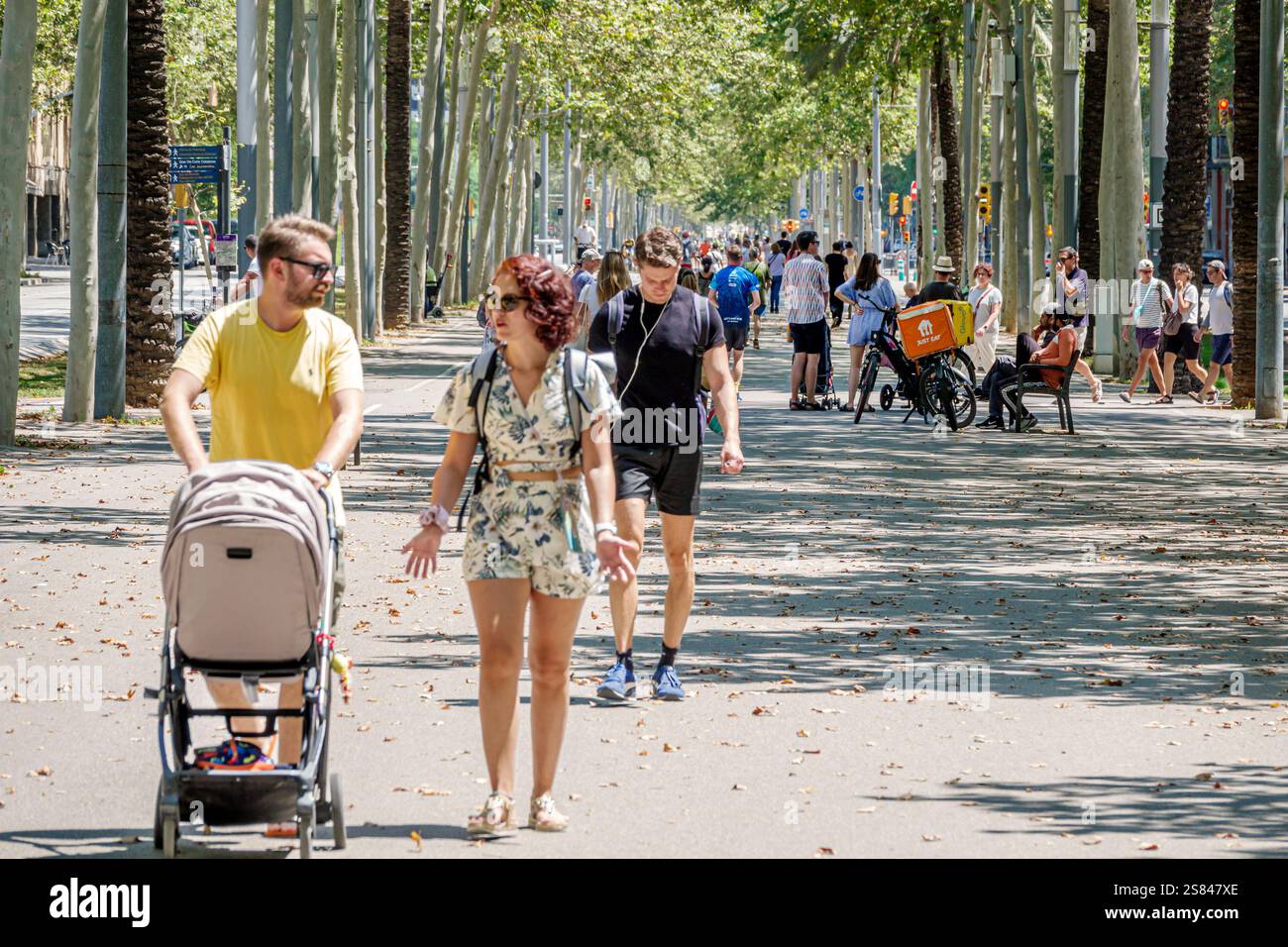 Barcelona Spain Poblenou,Avinguda Diagonal,pedestrian walkway,tree ...