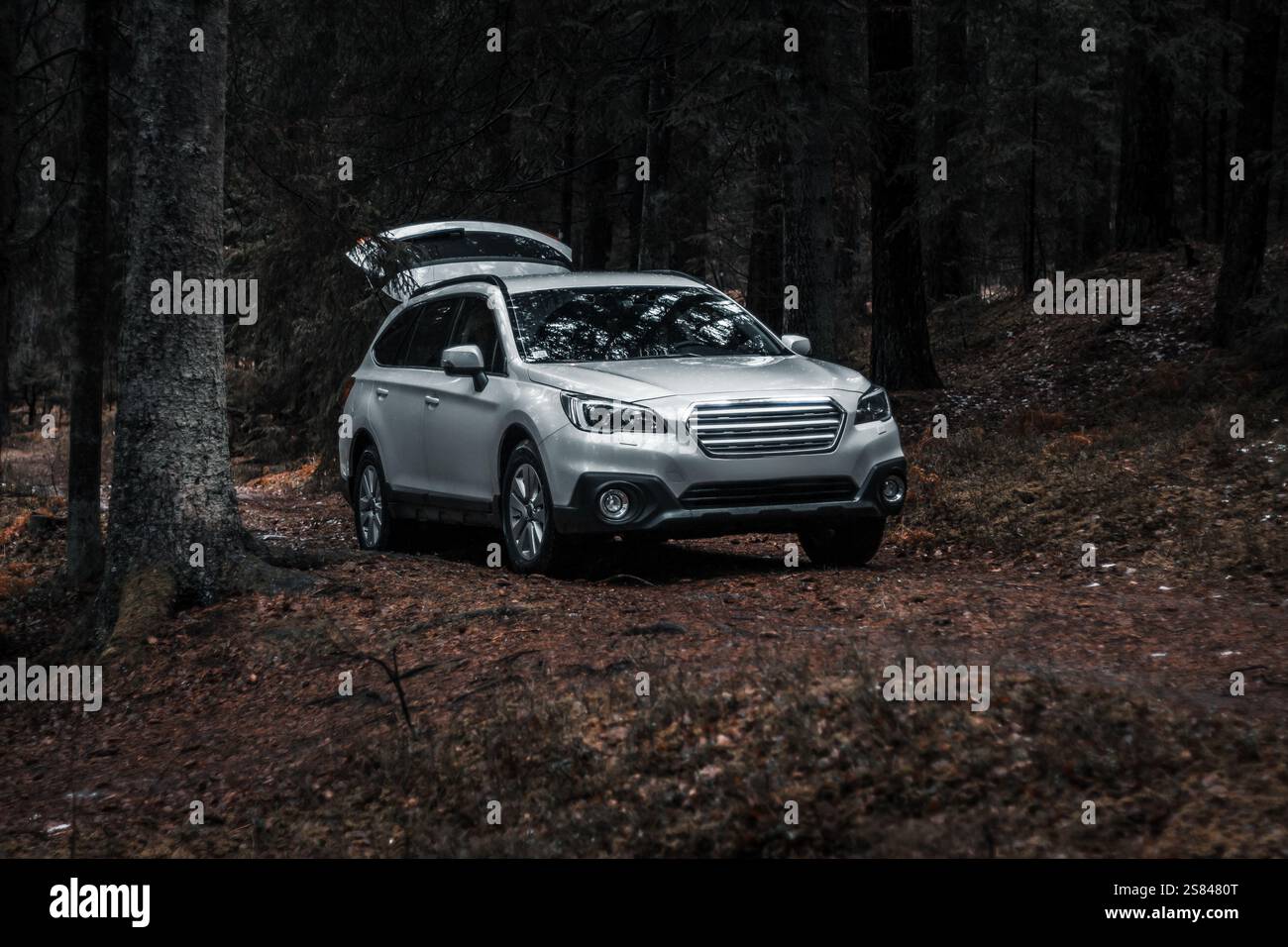 A silver SUV with its rear hatch open sits on a dirt path surrounded by ...