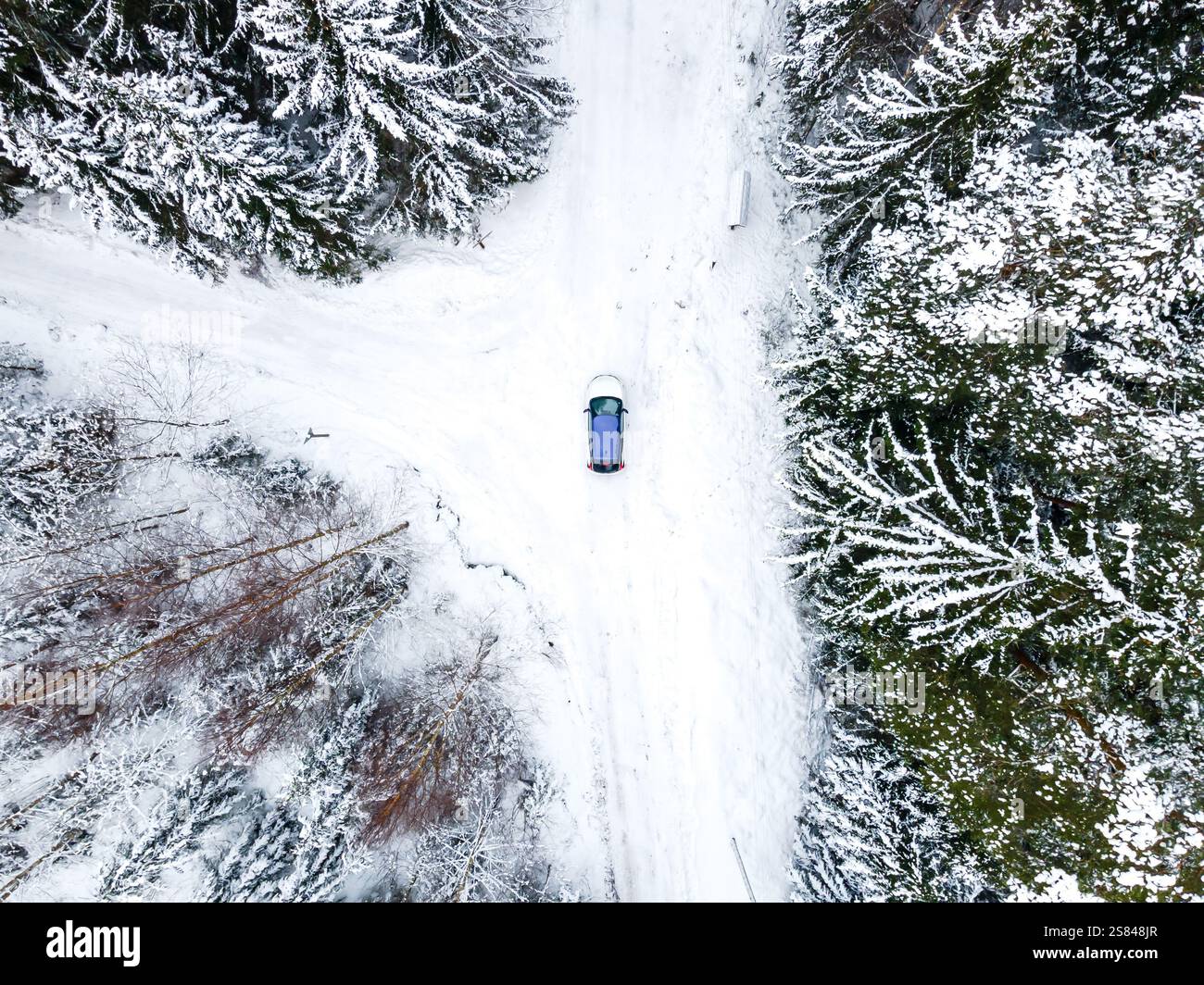 An aerial perspective of a snow covered forest intersected by a T ...