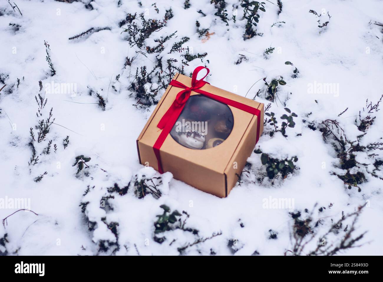 A cardboard box with a red ribbon and transparent window rests on snow ...