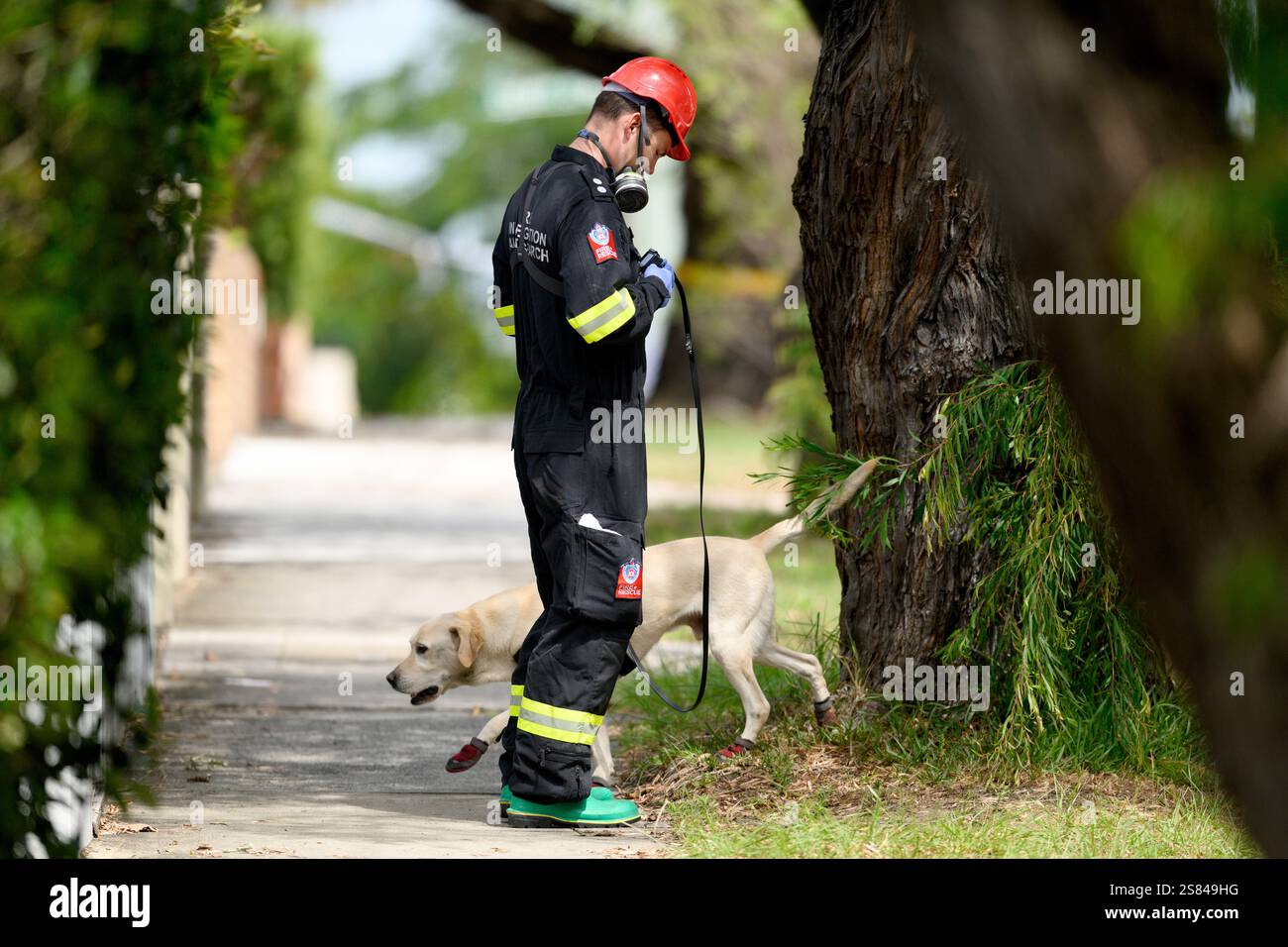 Sydney, Australia. 21st Jan, 2025. Fire and Investigation Research Unit ...