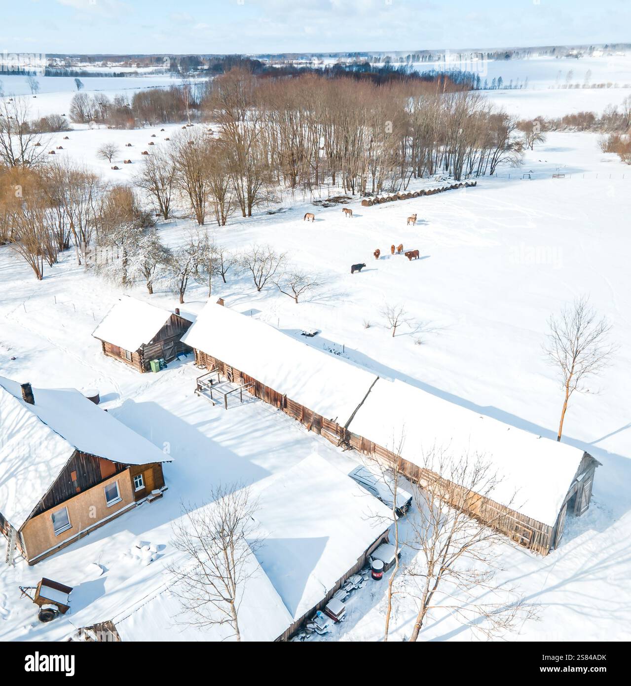 A rural farmstead in winter features wooden houses and barns, open ...