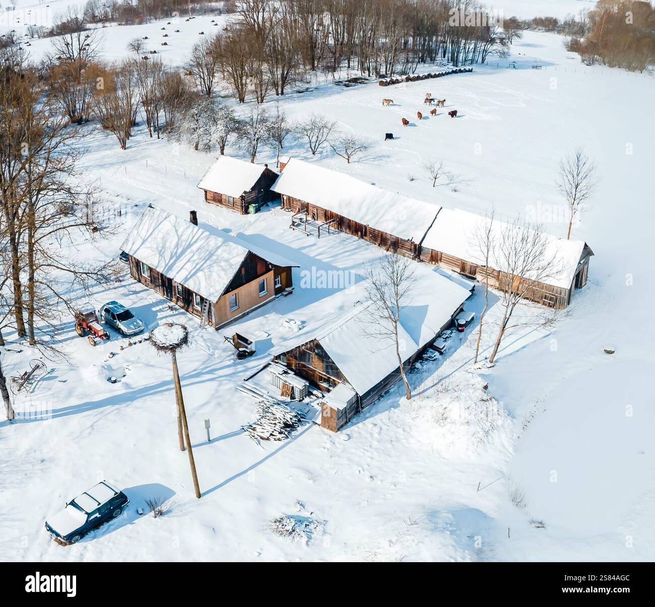 Rural winter scene with wooden buildings, open fields, scattered trees ...