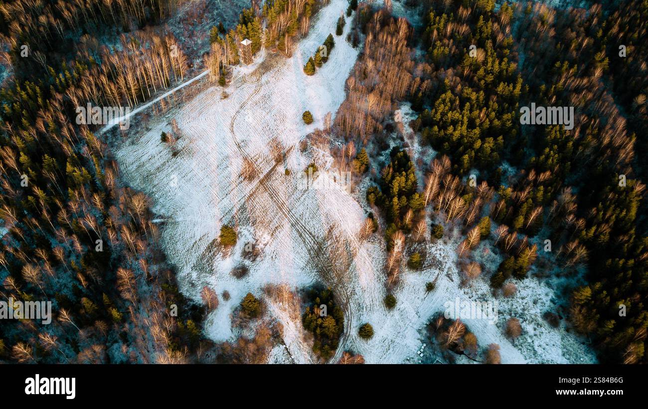 Snow covered forest with evergreen and deciduous trees, a wooden ...