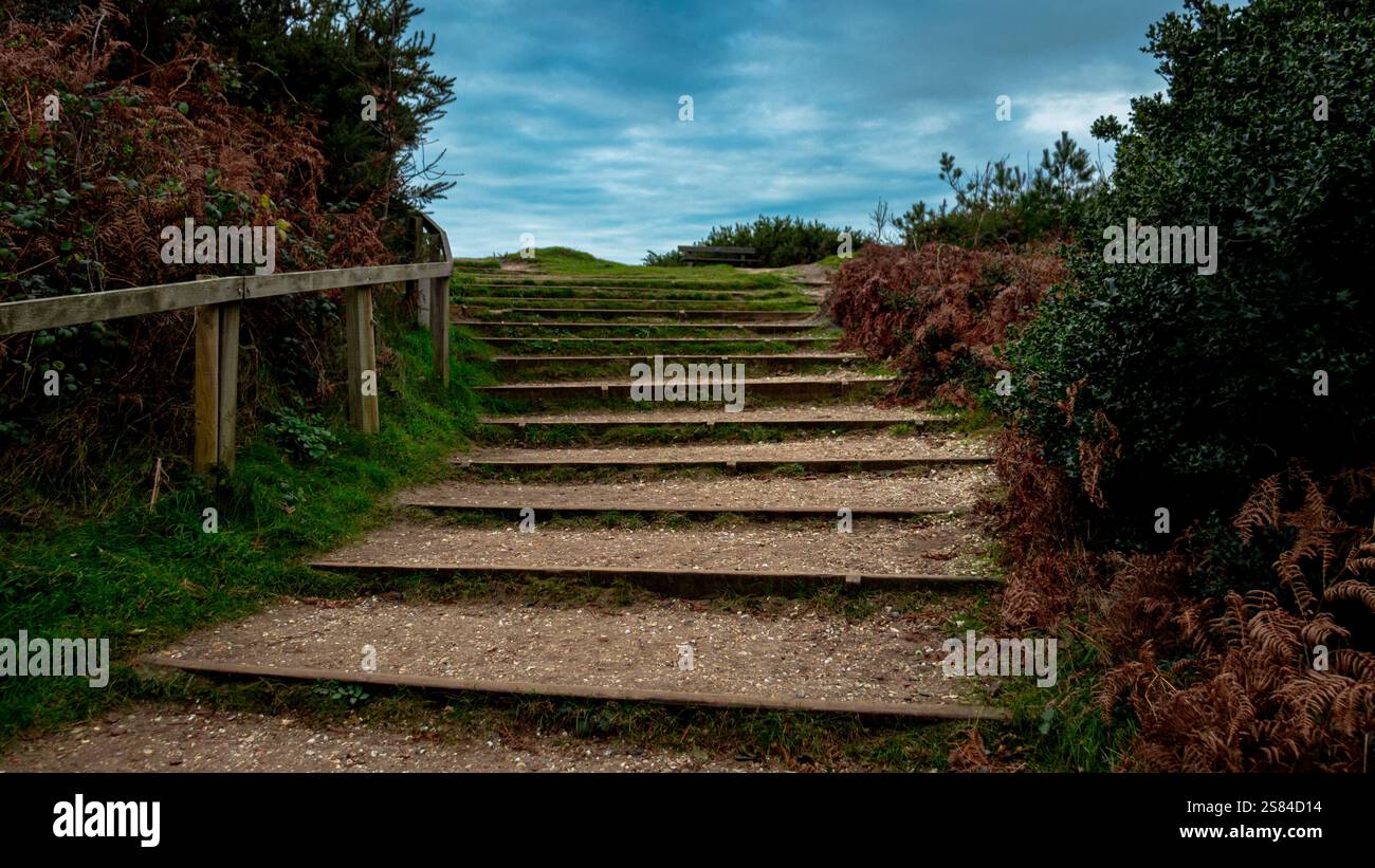 Wooden steps on a nature trail leading to a hilltop, surrounded by ...