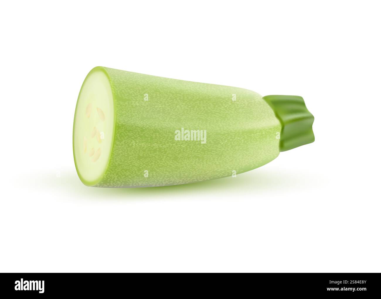 Realistic zucchini half cut, courgette or marrow squash vegetable ...