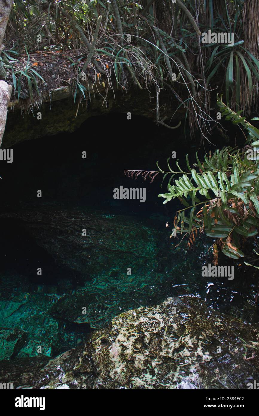 Shot in Tulum, Quintana Roo, Mexico, an underground cenote is covered ...