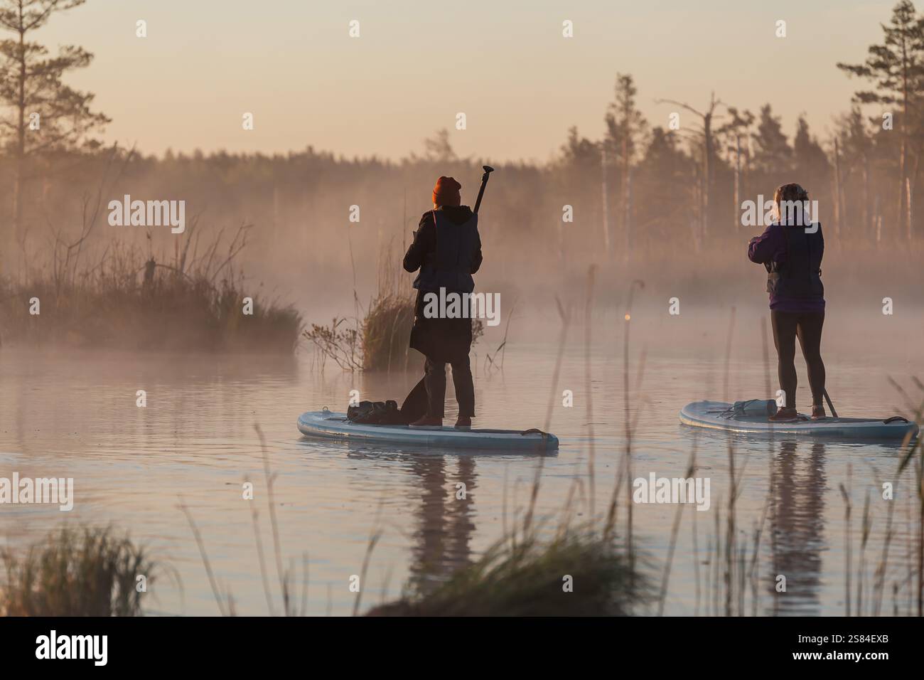 Two paddleboarders navigate a misty wetland during sunrise or sunset ...