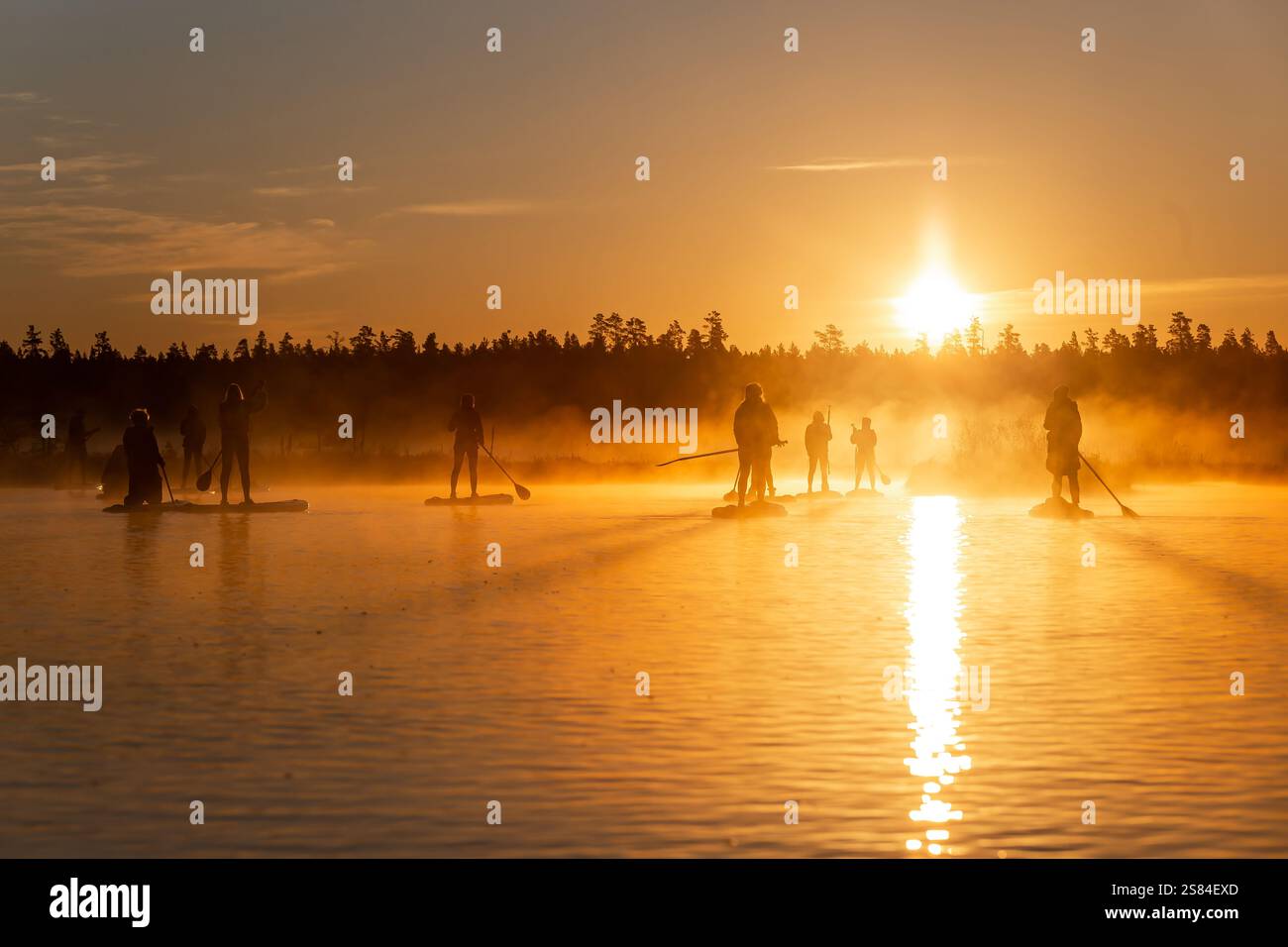 A group of paddleboarders glides on calm water during sunrise or sunset ...