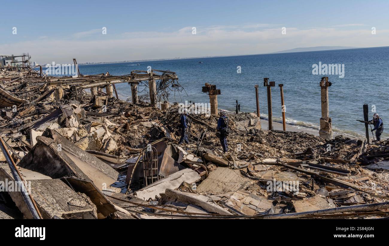 Pacific Palisades, California, USA. 15th Jan, 2025. Reva was trained ...