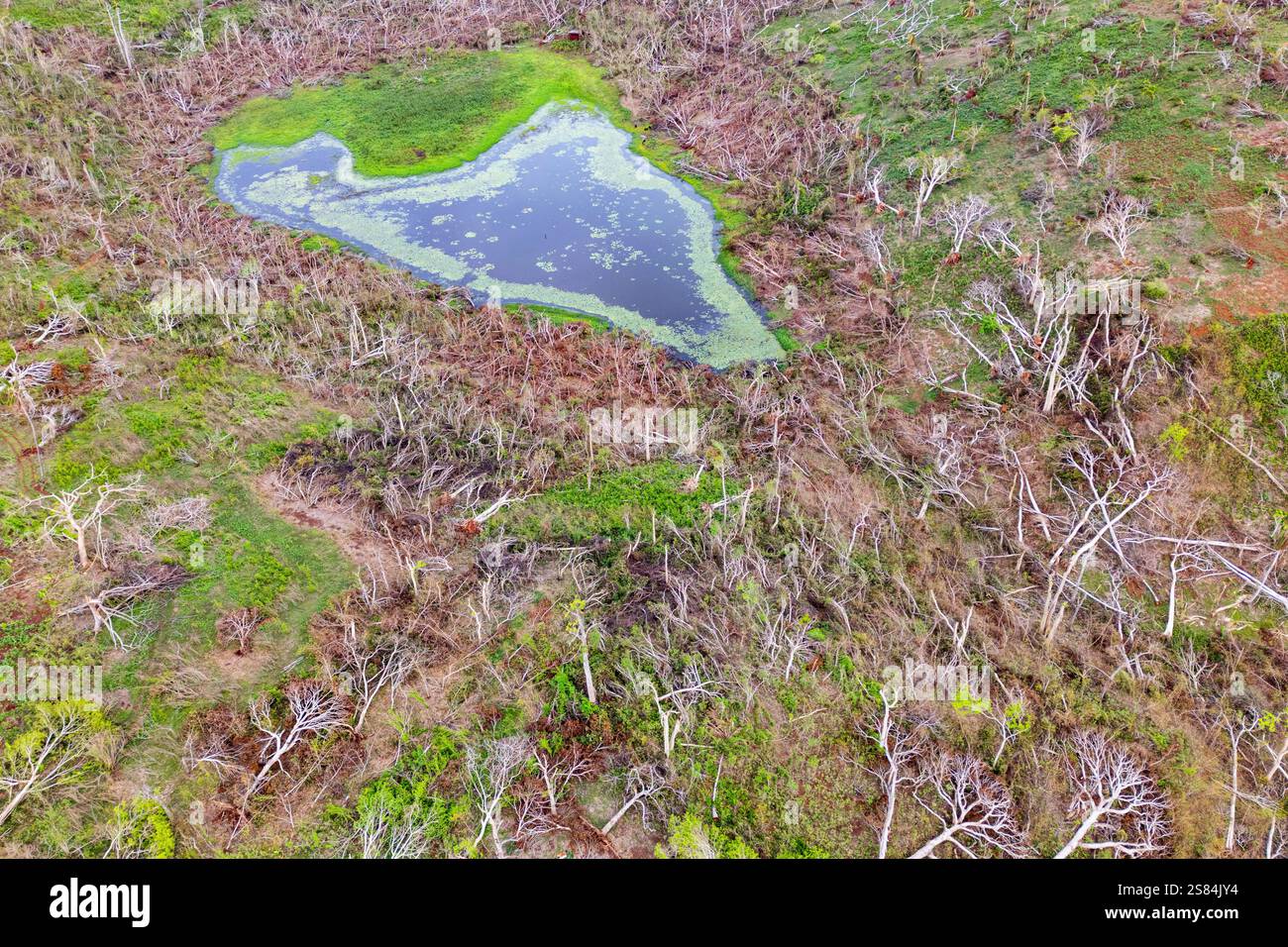 Karihani Lake with all the trees down after Cyclone Chido Mayotte ...