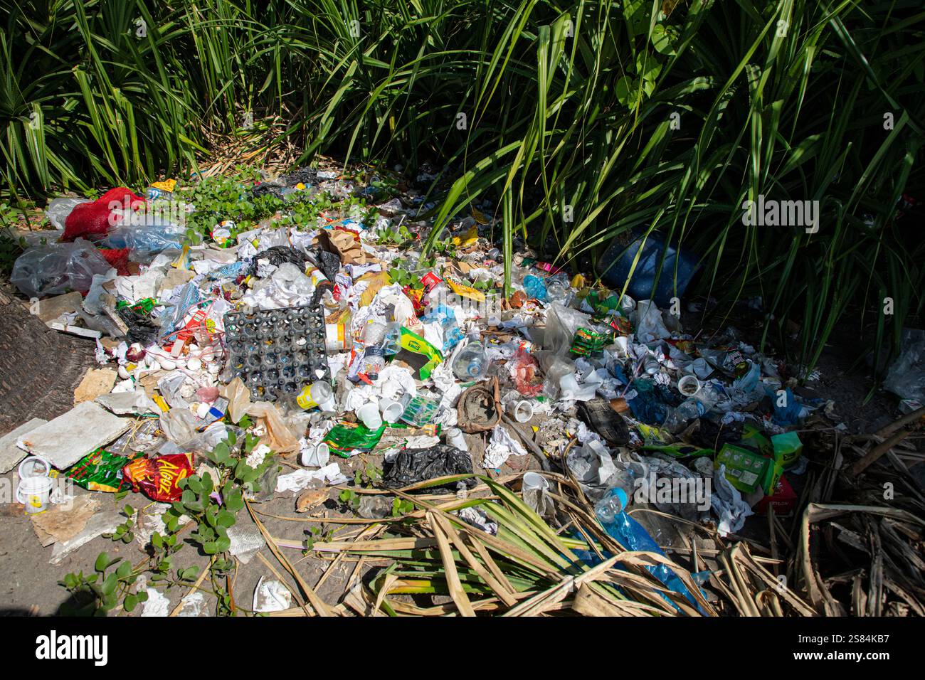Various types of plastic waste are scattered across the beach of Saint ...
