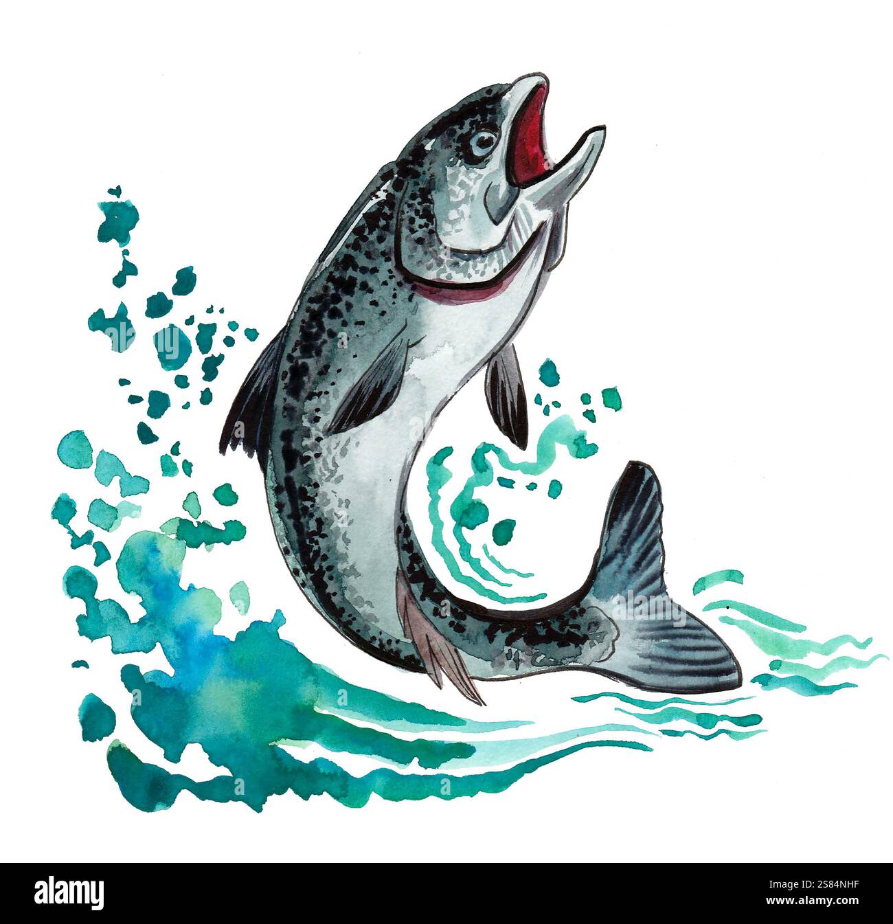 Jumping salmon fish. Watercolour drawing Stock Photo - Alamy