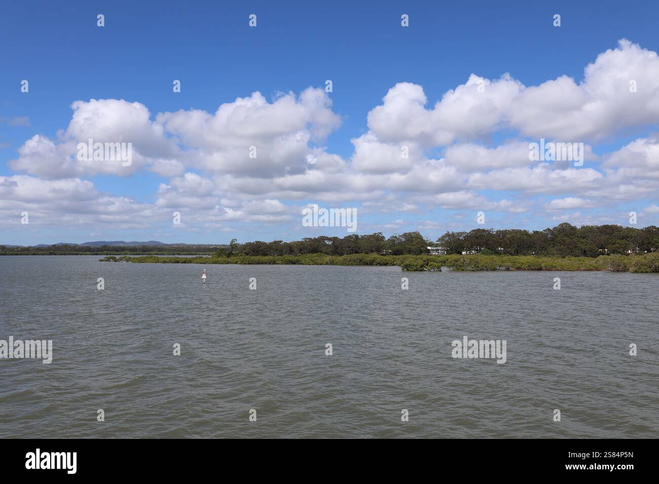 tree tops emerge from the sea as high tide submerges the land below ...