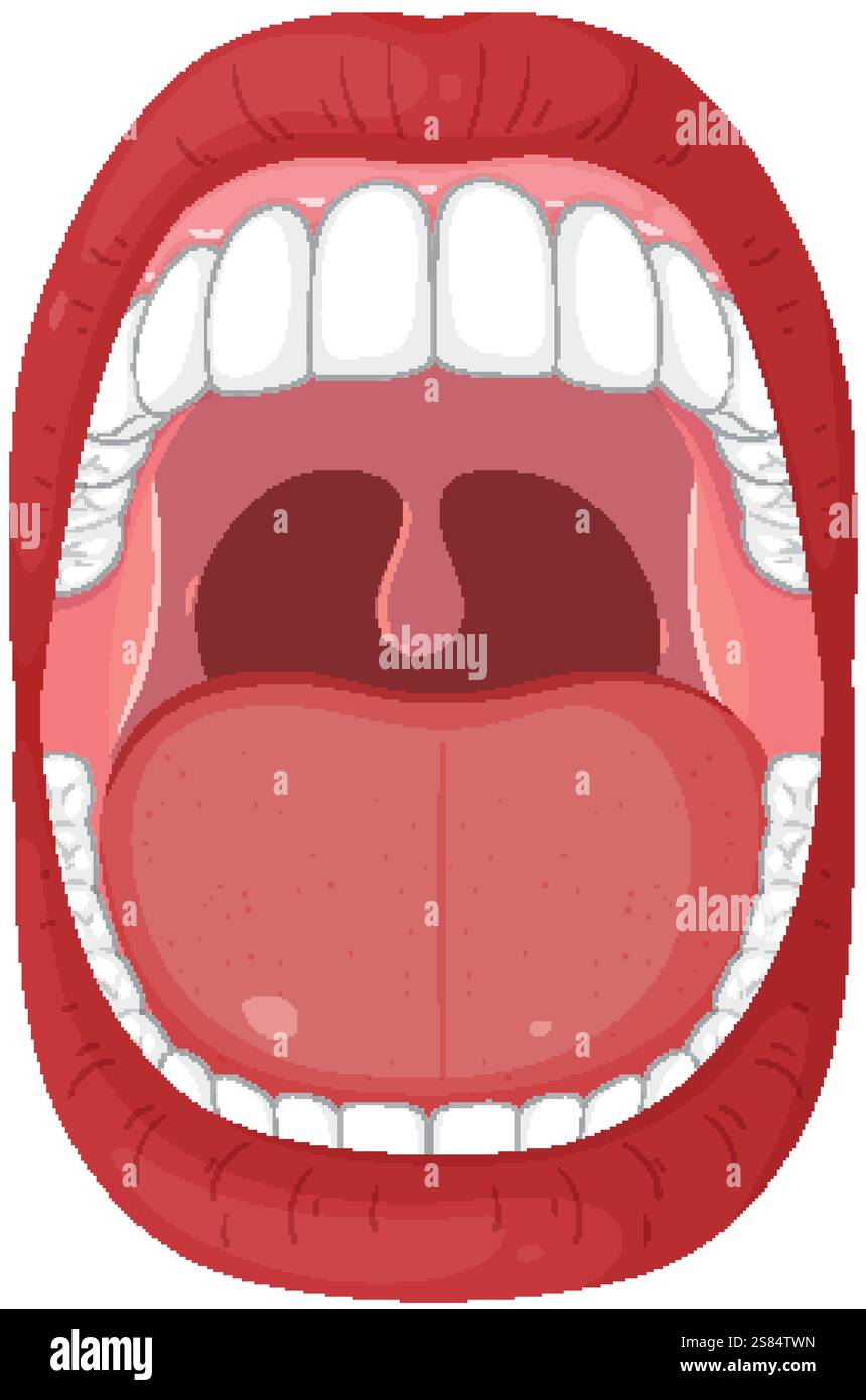Detailed vector of human mouth and teeth Stock Vector Image & Art - Alamy
