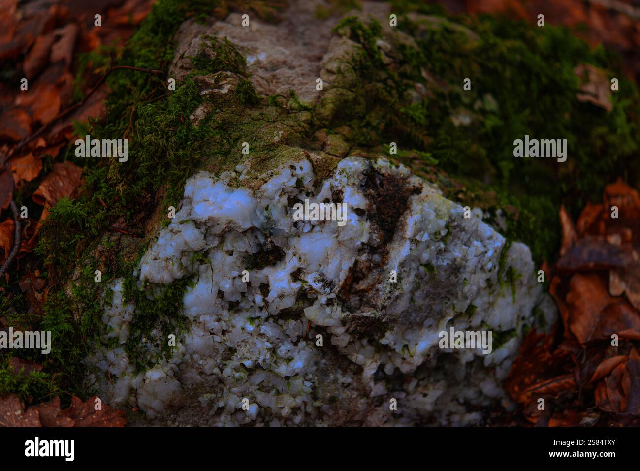 Rock covered moss water drops hi-res stock photography and images - Alamy