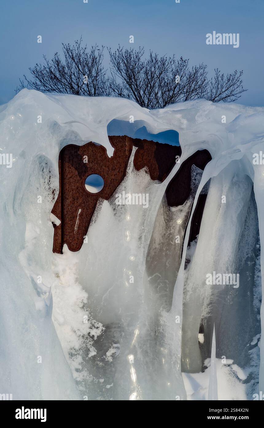 An interesting juxtaposition is created with a view of corregated iron ...