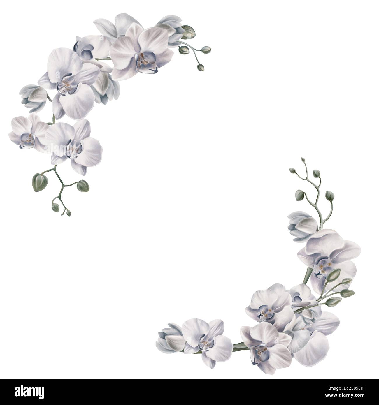 White orchid flowers in a semi-circular frame composition to decorate ...