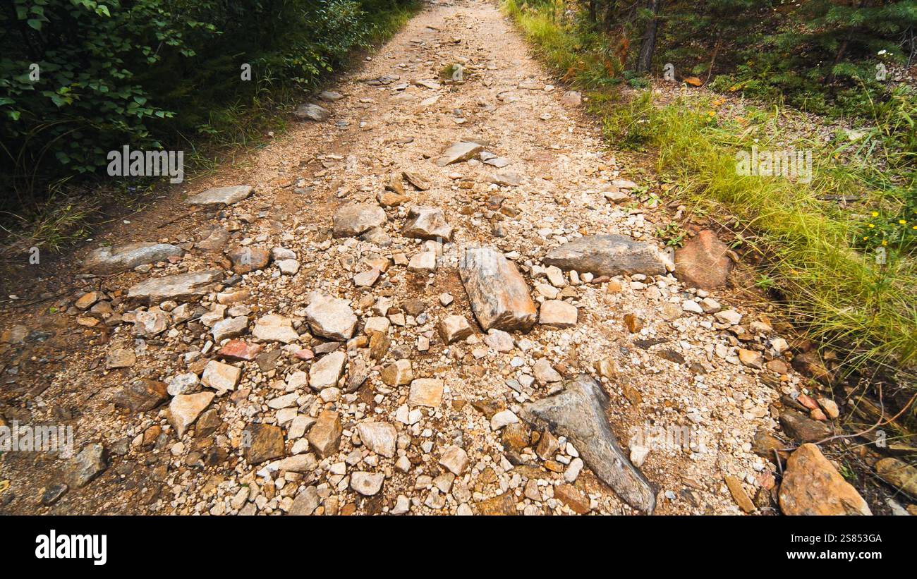 Mountain path curving through verdant woodland, revealing rugged hiking ...